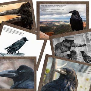 The Crafty Hobbit | Office | Raven Calendar 226 Ravens Planner With The ...